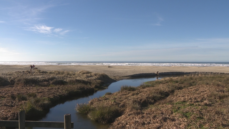 Discover an Oregon 'hidden gem' with Newport's Ocean to Bay Trail | kgw.com