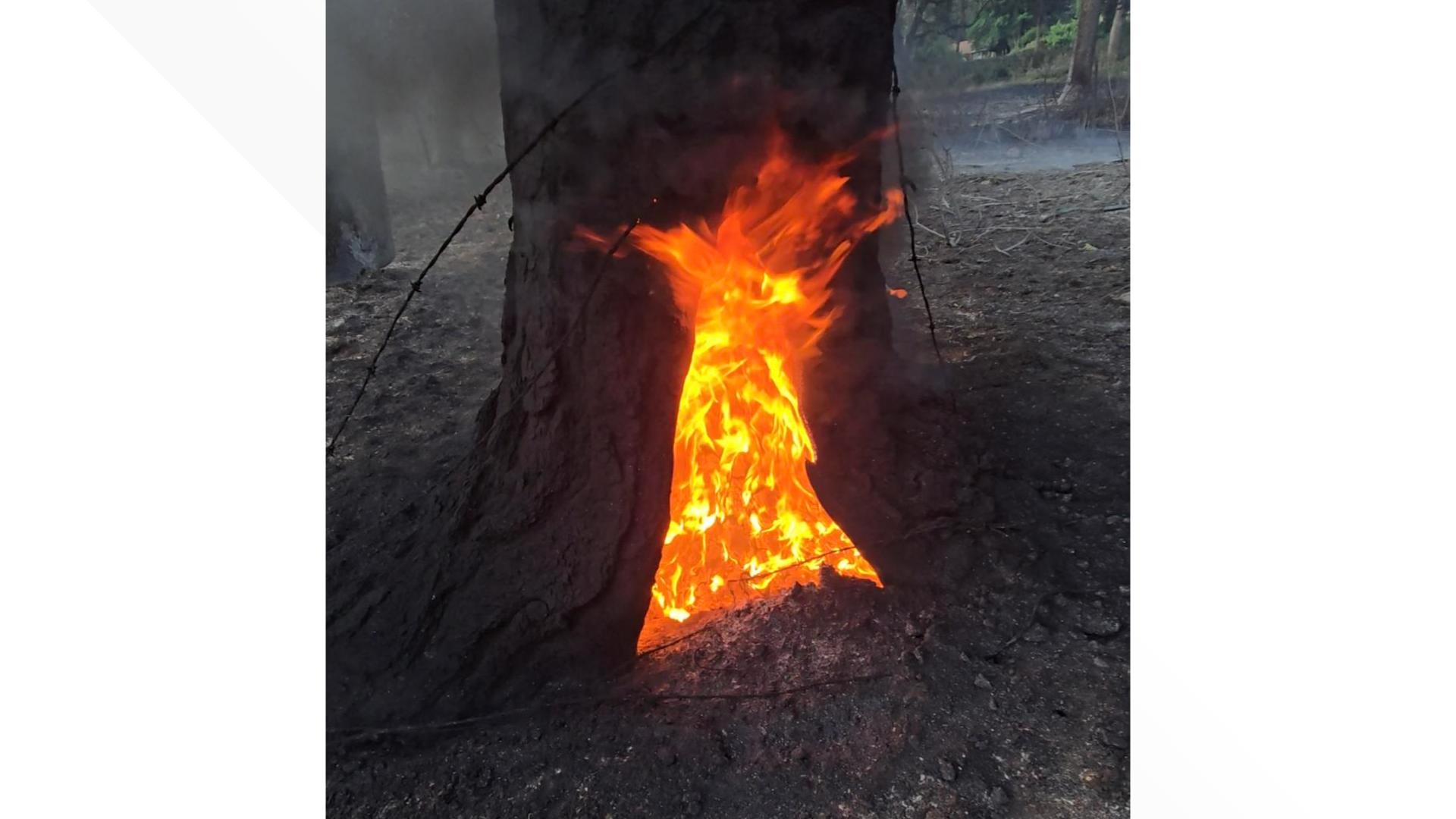 Evacuations issued for parts of The Dalles due to Rowena Wildfire | kgw.com