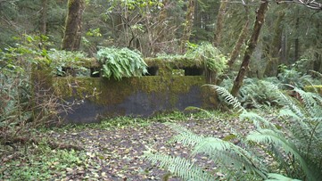 Haunted hikes on the Oregon coast | kgw.com
