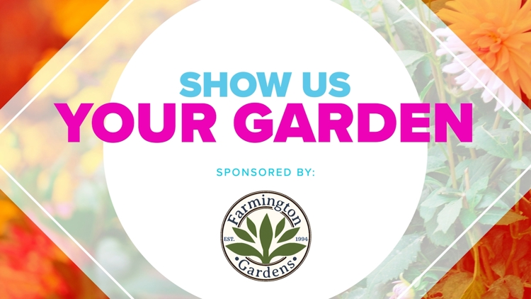 Hello, Rose City! | kgw.com