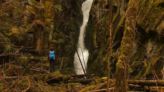 Grant's Getaways: A paddle on the Tualatin River | kgw.com