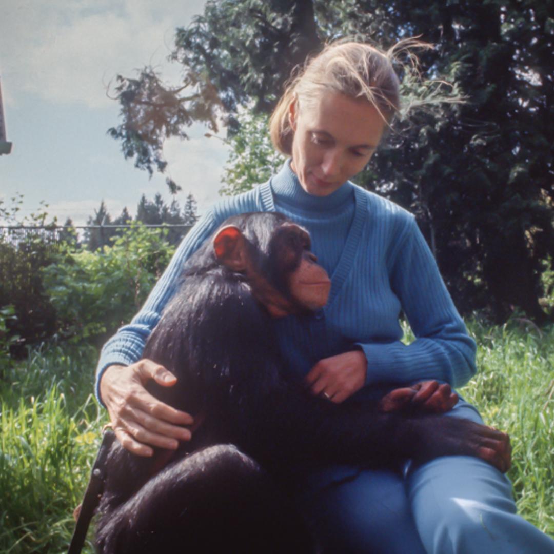 Dr. Jane Goodall visited Oregon students before her death | kgw.com