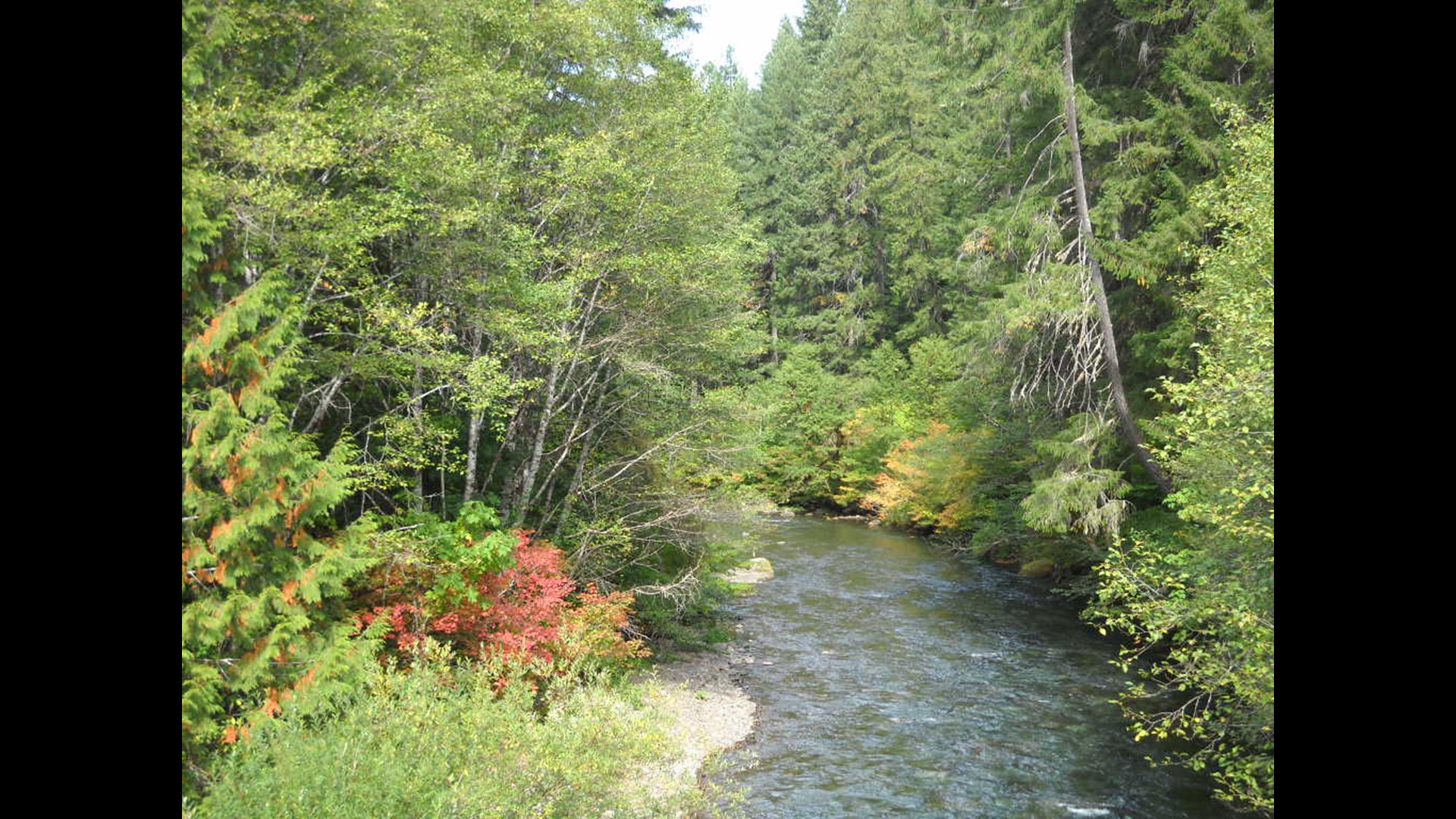 Grant's Getaways: Aufderheide Scenic Byway | kgw.com