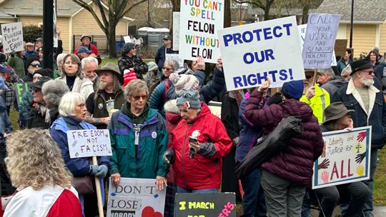 Protests against Trump and Musk held in Portland, Vancouver, Salem ...