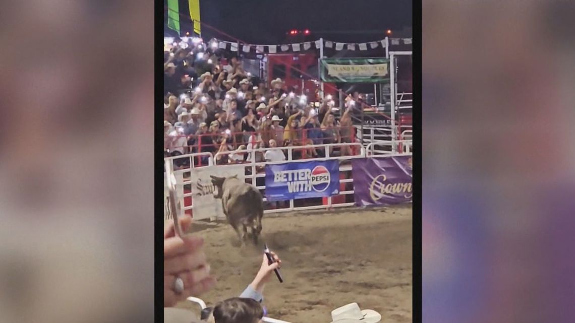 Spectators sue Sisters Rodeo two years after bull named 'Party Bus ...