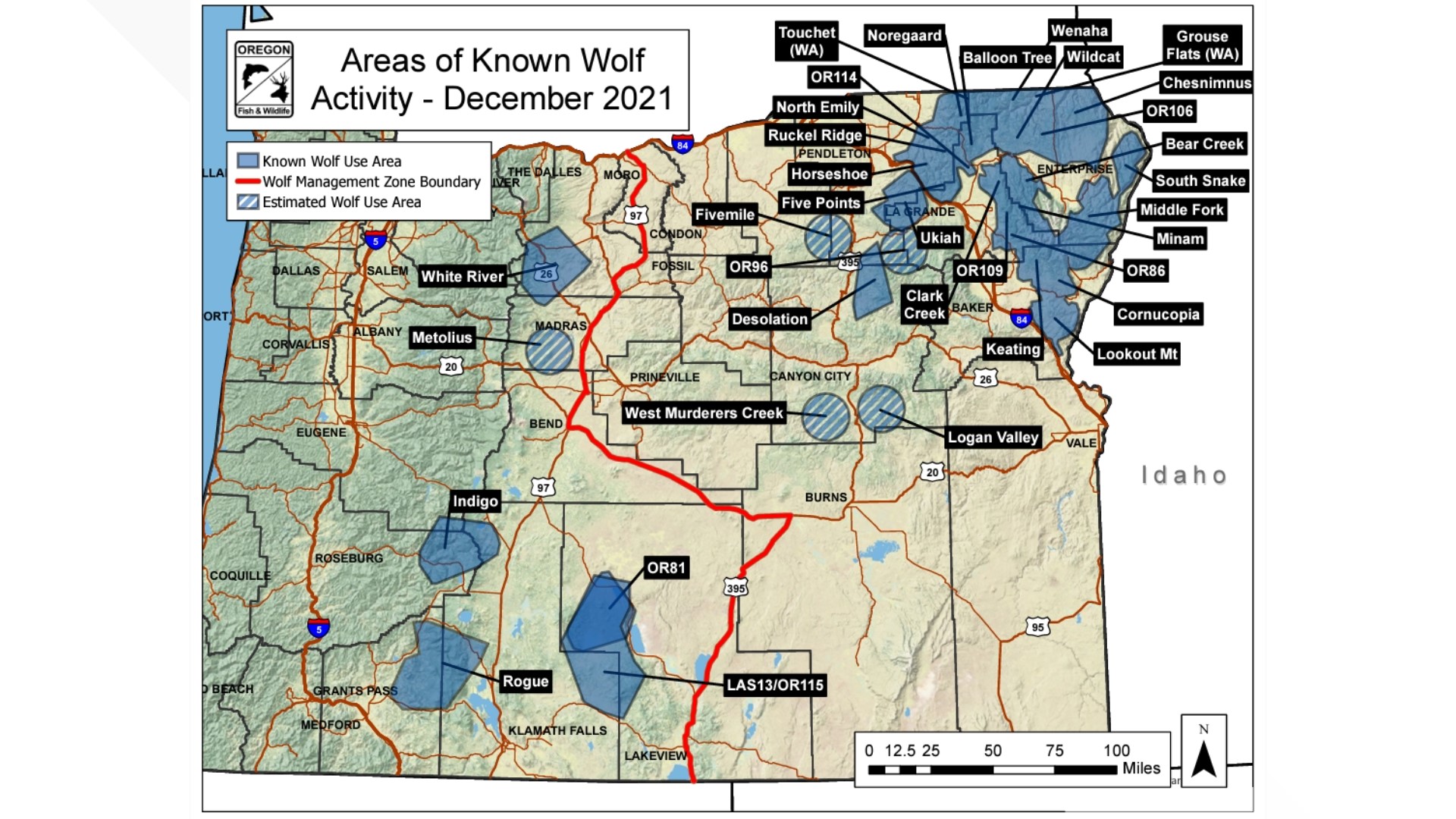 Eastern Oregon rancher's dog killed by state-protected wolves | kgw.com