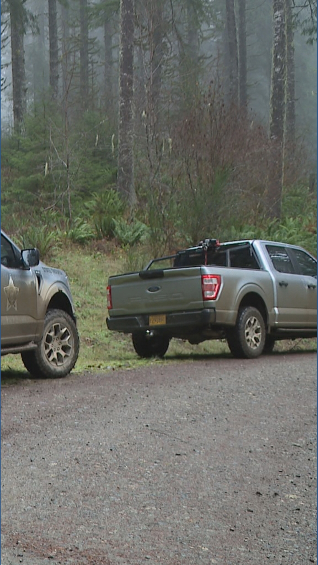Oregon state troopers set up decoy elk to catch hunters flouting state ...