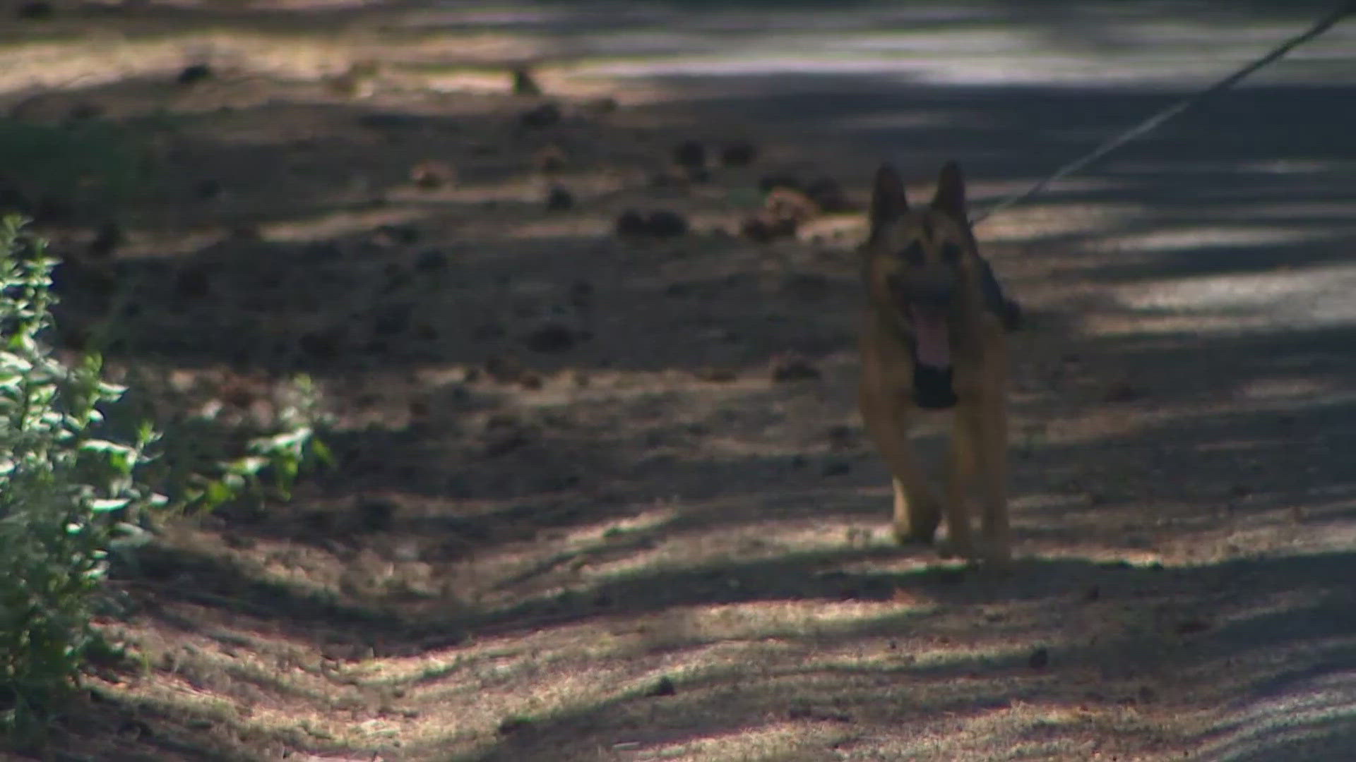 Chelan Sheriff's Office debunks TikTok video claiming Decker arrest | kgw.com