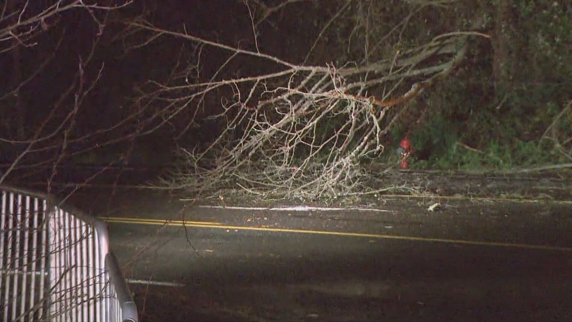 These were the top wind speeds recorded overnight in western Washington ...