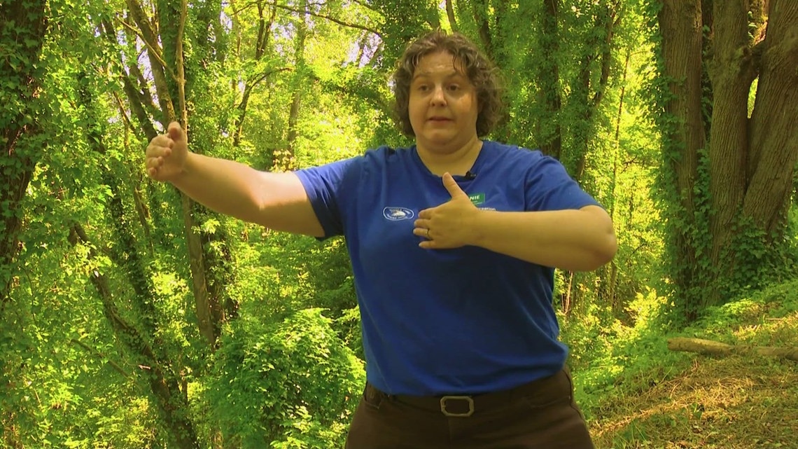 Verify Fact Checking Kgw