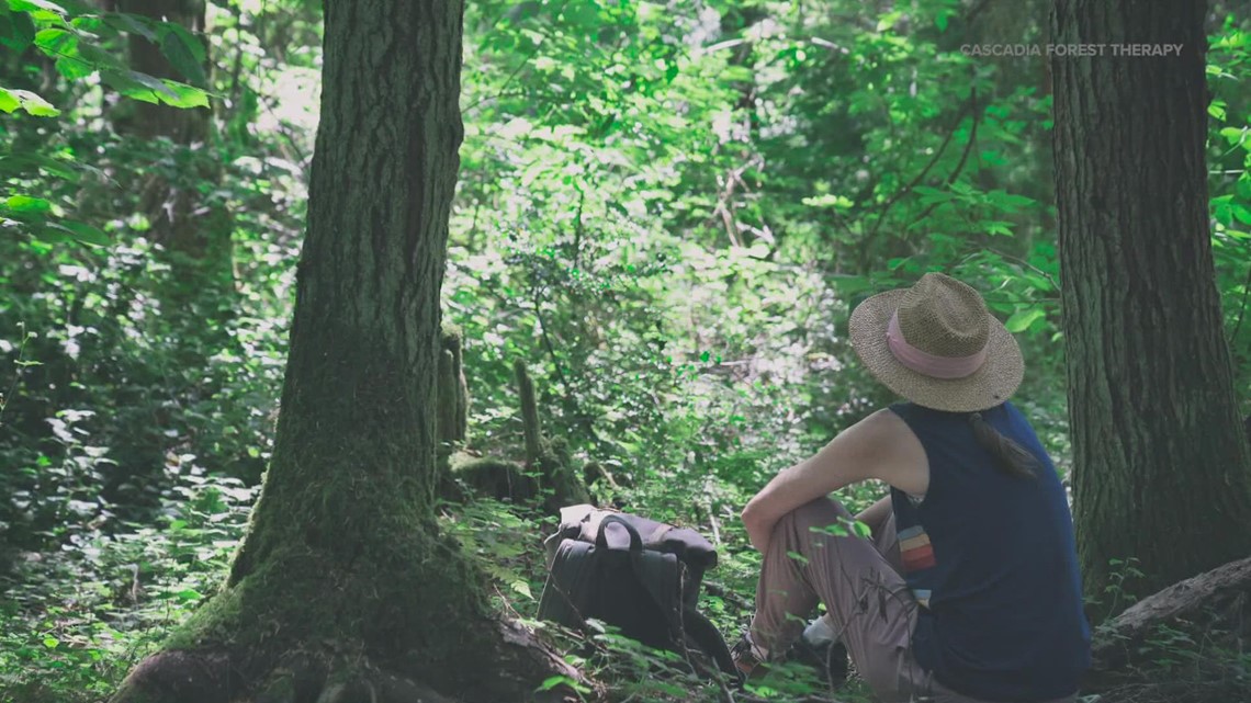 What is forest bathing? The wellness practice is booming in the PNW ...