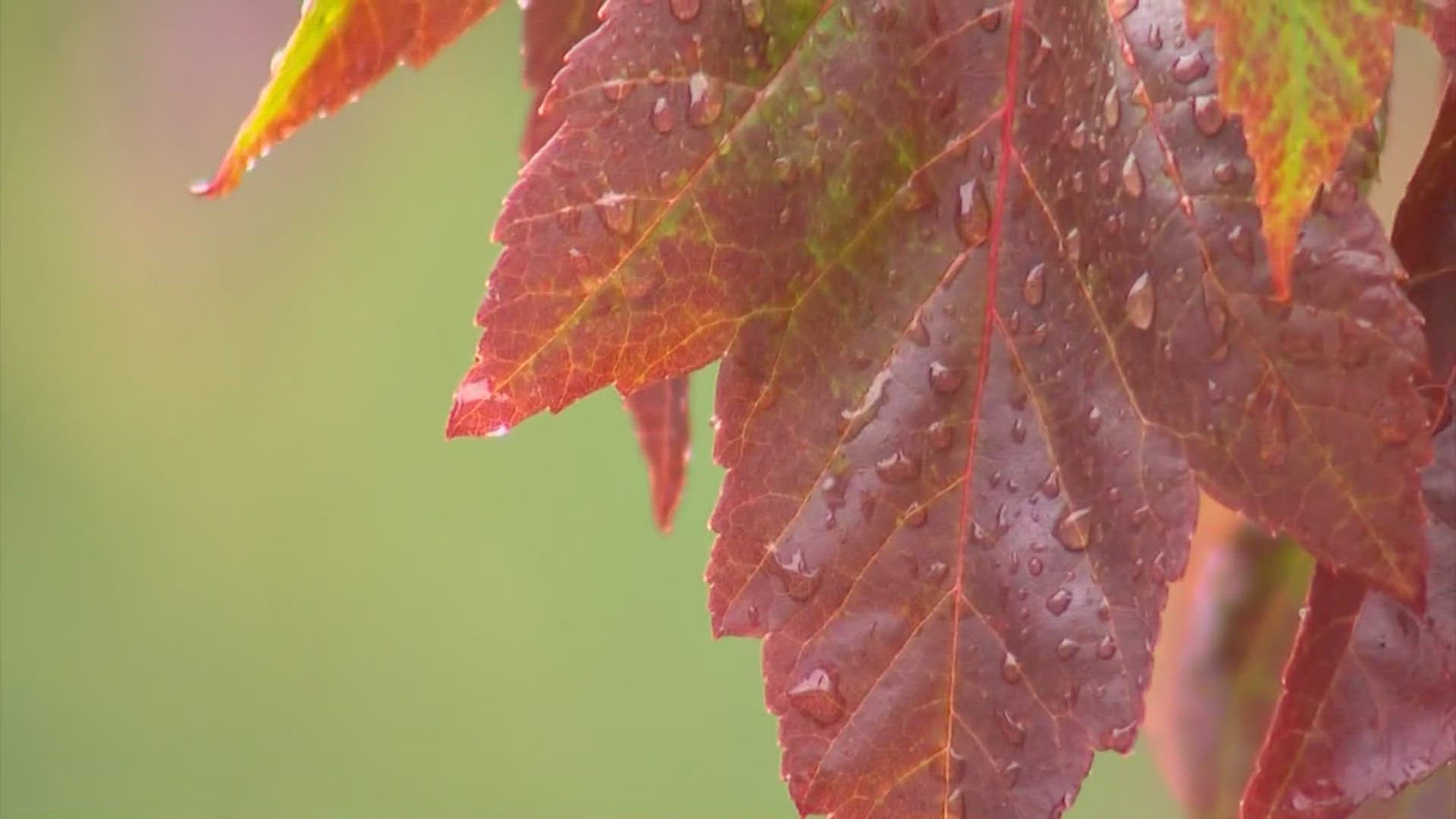 'Still got a long way to go': Recent rain welcomed after abnormally dry ...