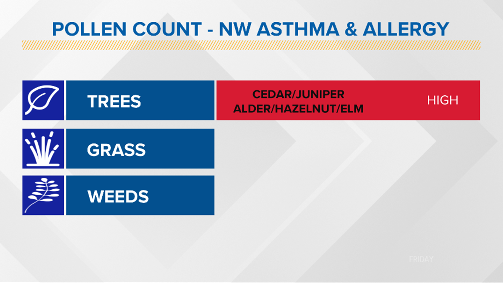 Allergy season begins in Seattle as tree pollen ramps up | kgw.com