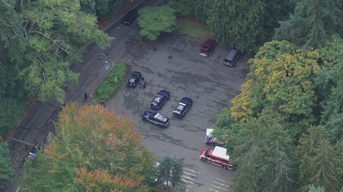 Police: Confrontation over stolen car led up to fatal Ballard shooting ...
