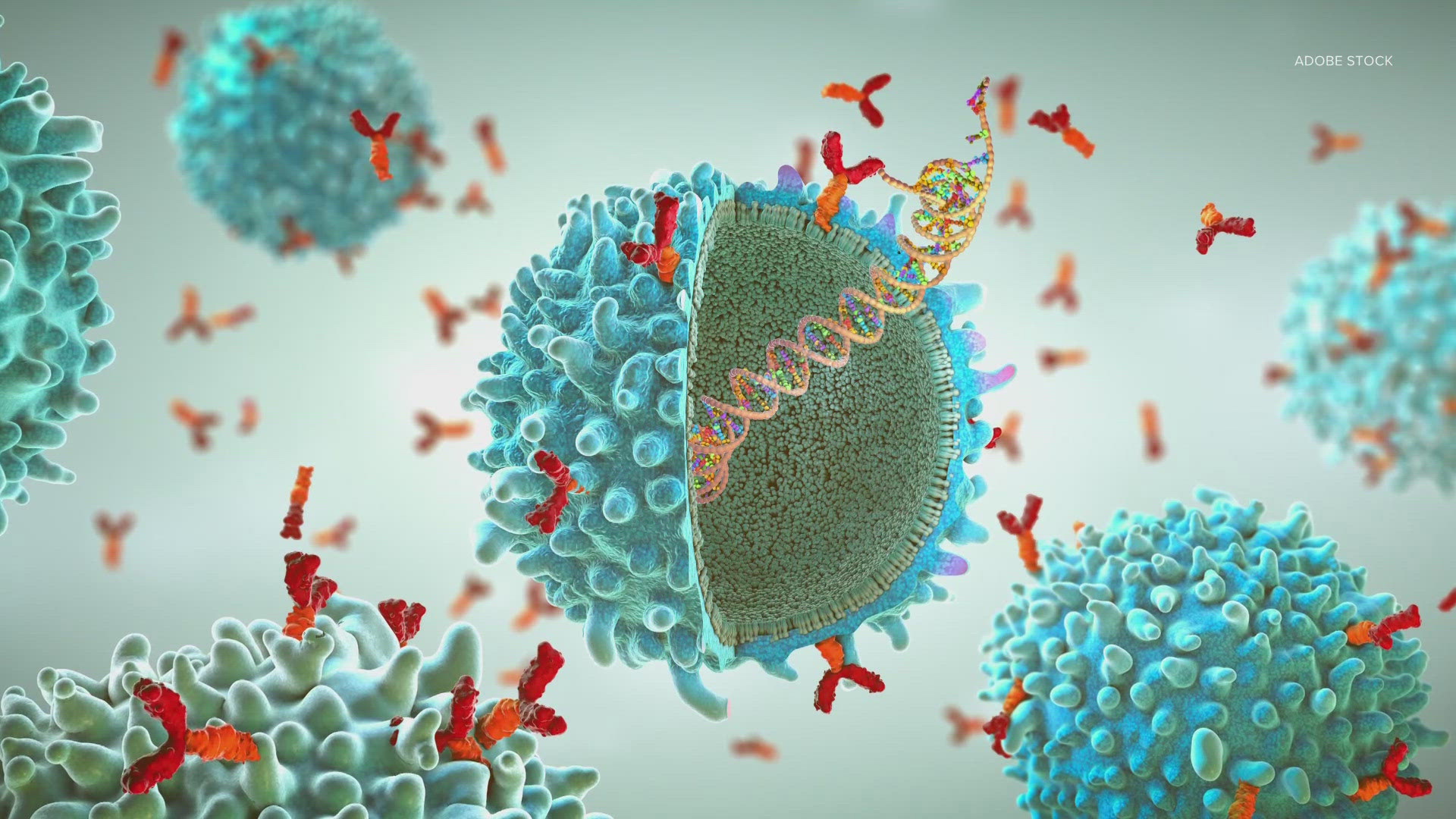New study shows mRNA vaccine enhances cancer immunotherapy treatment ...