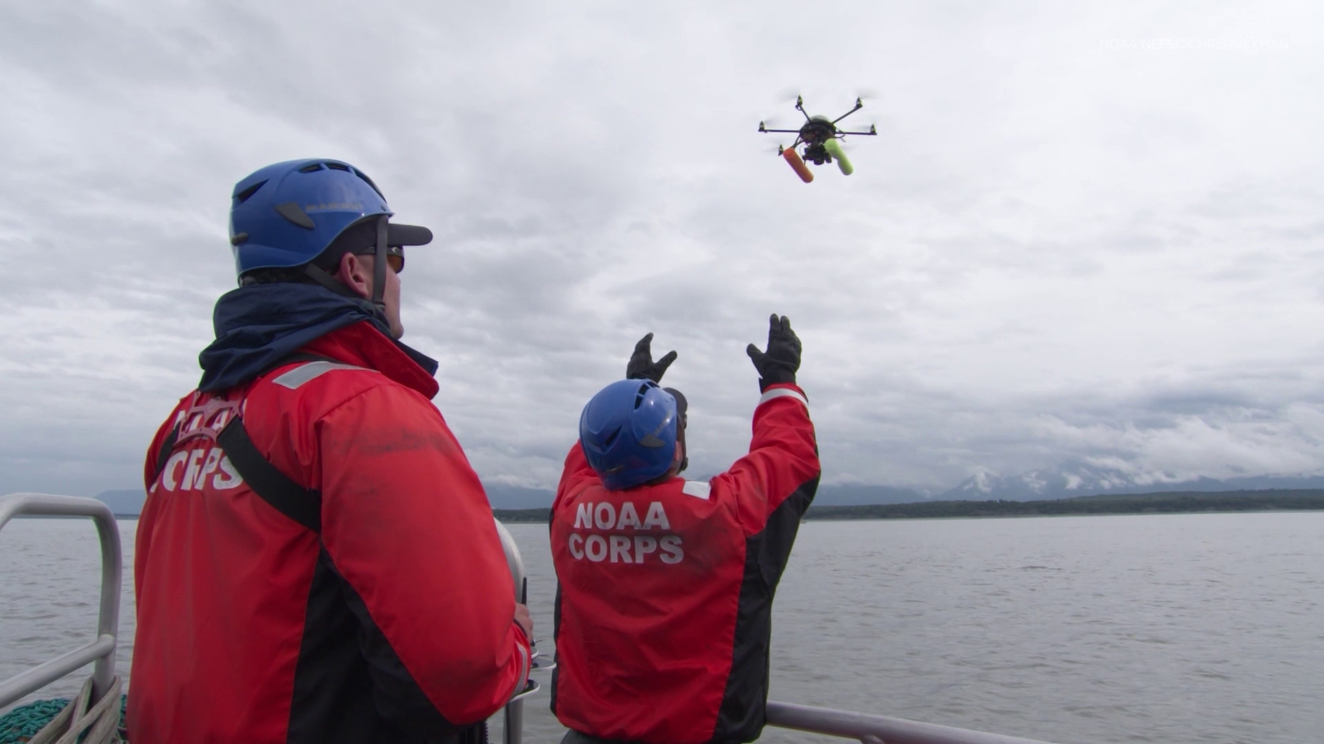 Microsoft launches AI for Good program with grants for Washington ...