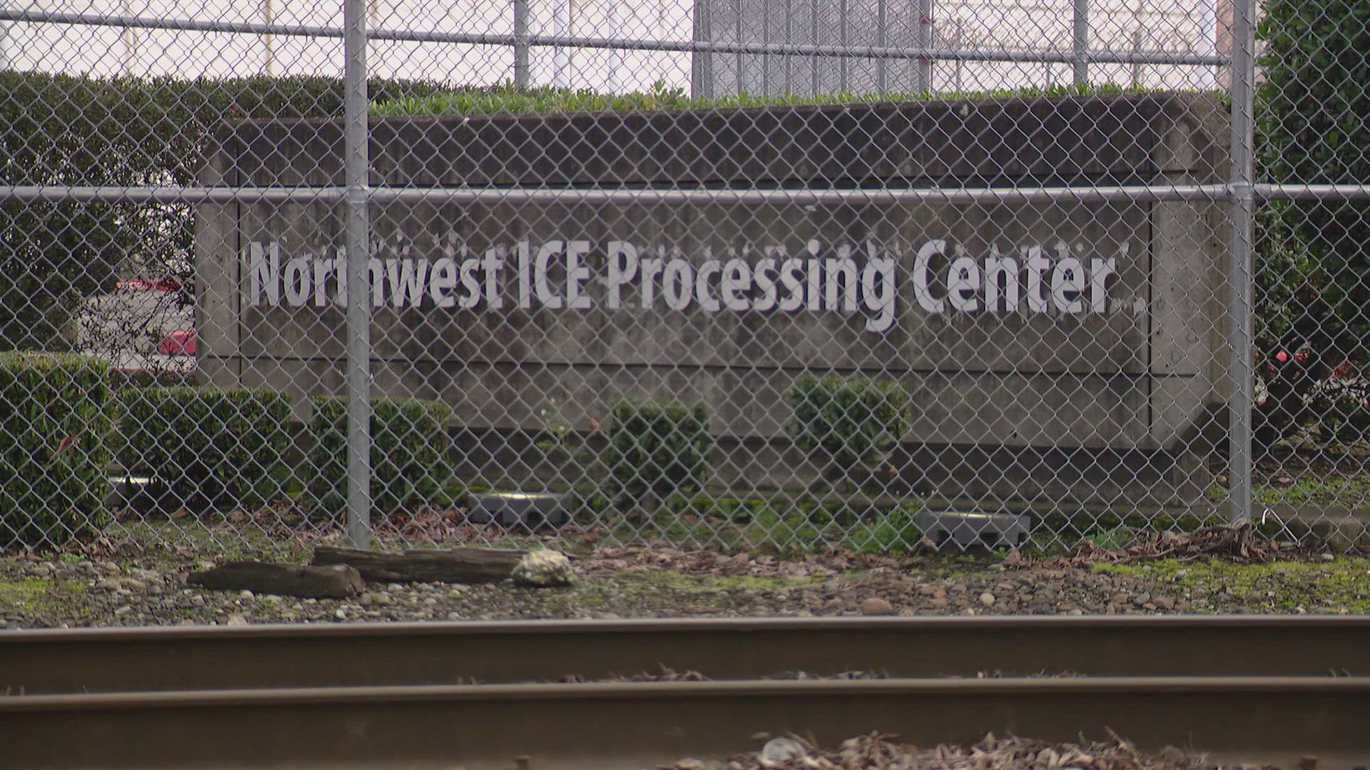 Woman shot by Border Patrol in Portland recovering at Tacoma ICE ...