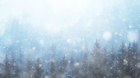 Portland's Leading Local News: Weather, Traffic, Sports and more in ...