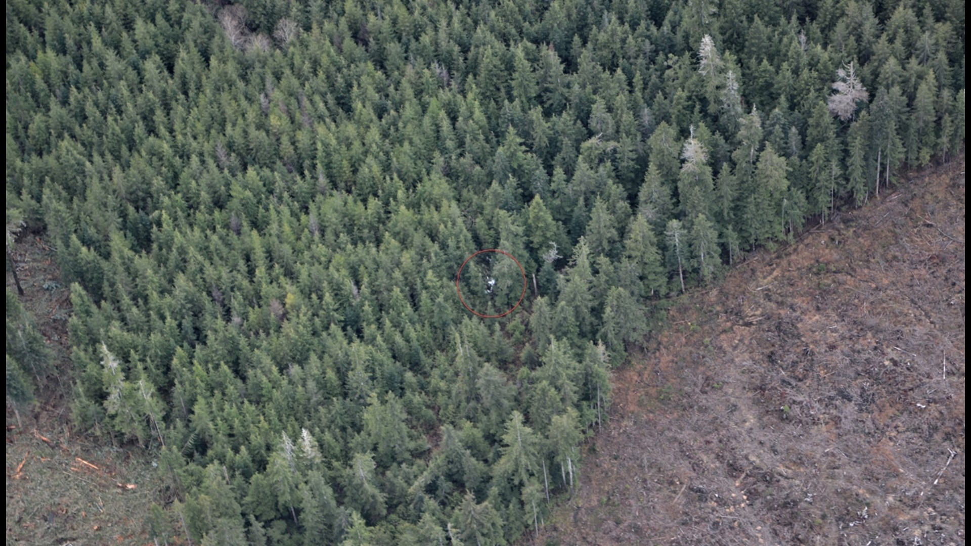 Missing Tacoma pilot found dead inside crashed aircraft | kgw.com