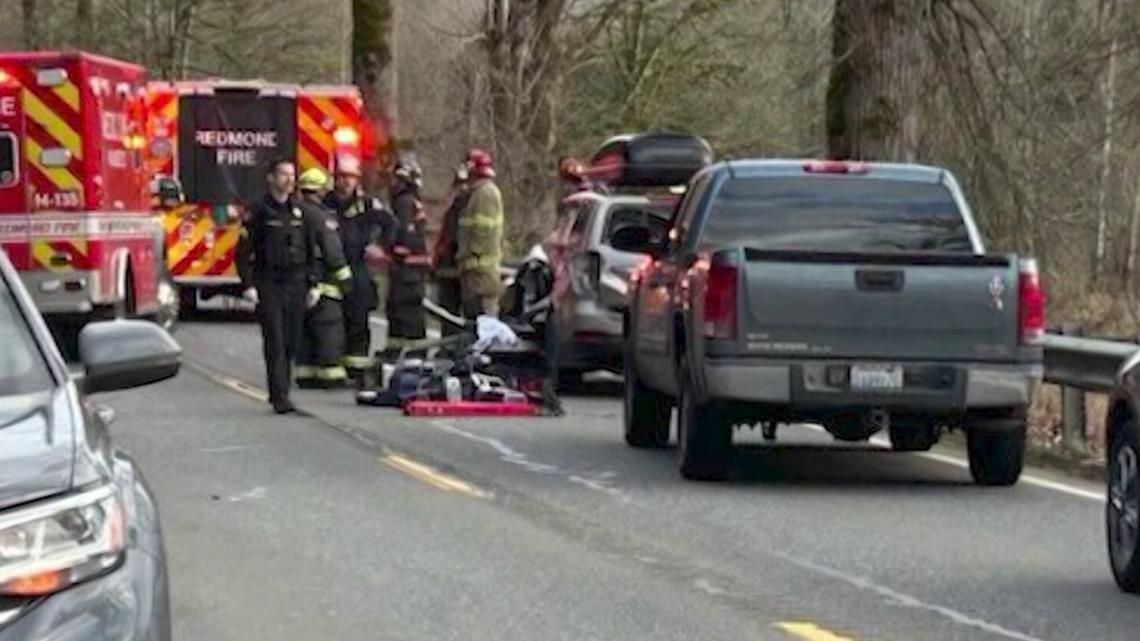 Falling tree kills woman on SR 203 in Washington state ahead of ...