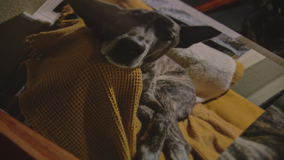 Heartbroken dog owner warns of risks after FDA issues alert on ...