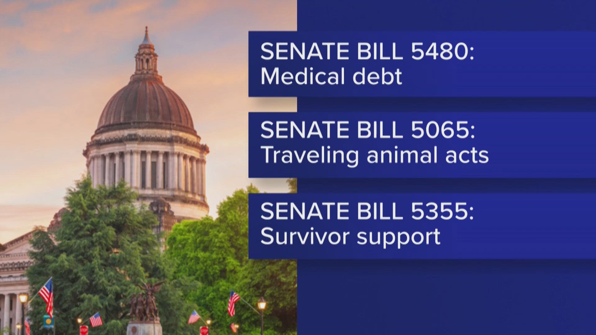 Washington law removes medical debt from credit scores | kgw.com