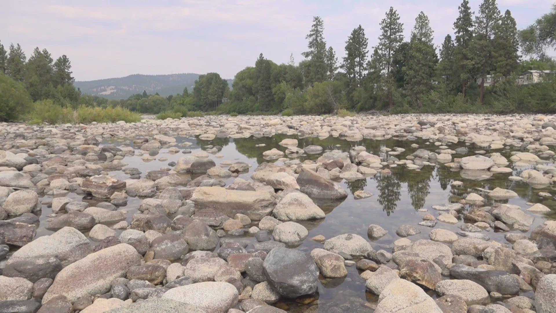 Spokane Riverkeeper photos show dried-up section of river in Spokane ...