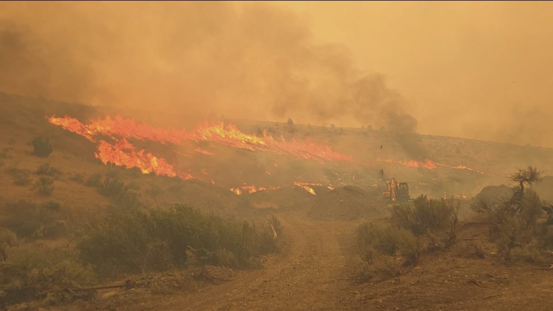 Rancher loses 300 cattle in Durkee Fire | kgw.com