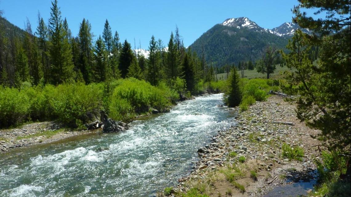 Idaho forests face limited ranger services amid federal cuts | kgw.com