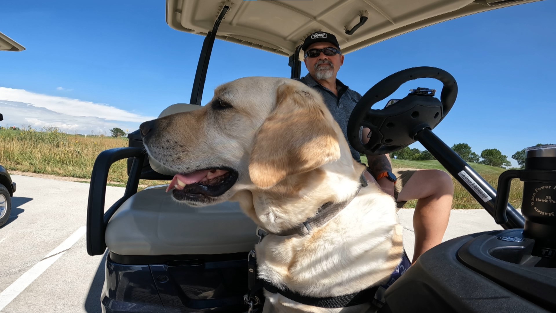 Veteran's life saved by service dog during AFib episode | kgw.com