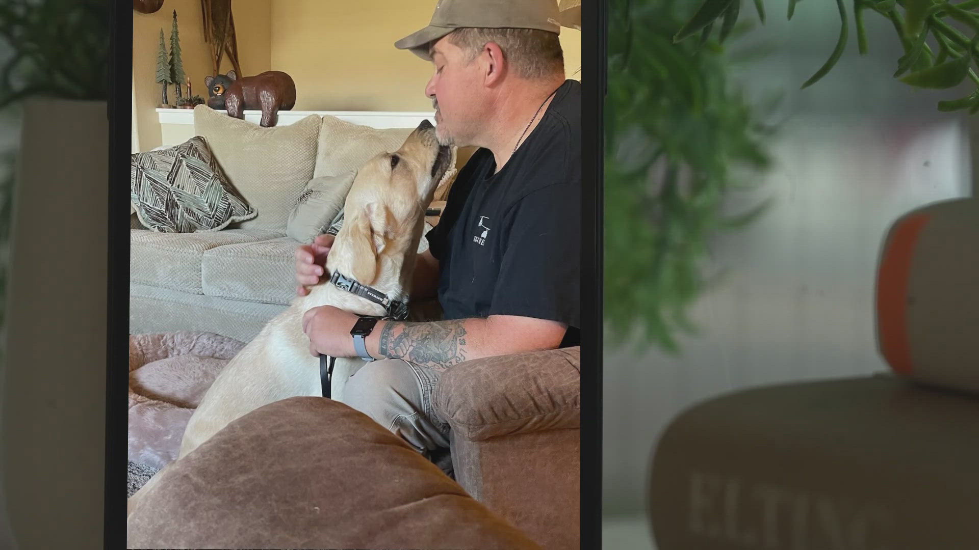Veteran's life saved by service dog during AFib episode | kgw.com