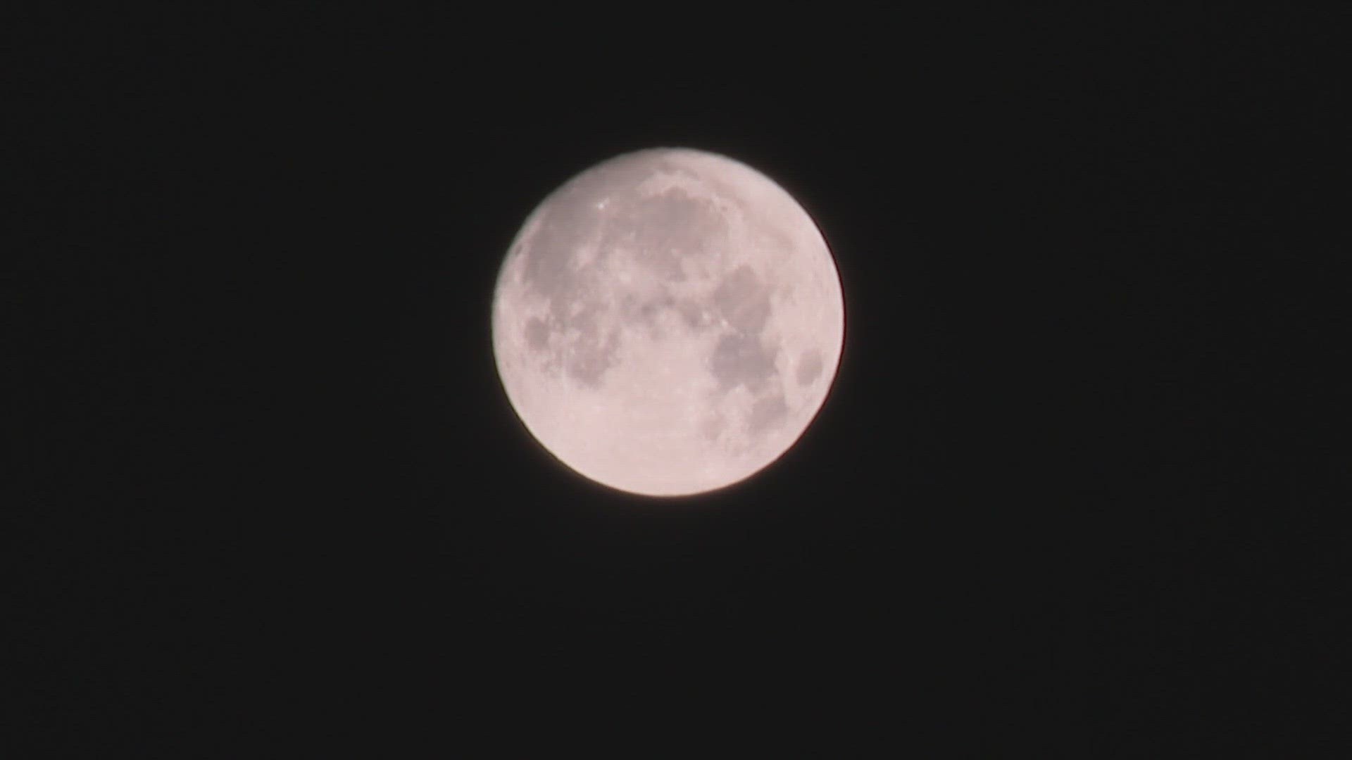 Blue Moon Photography Portland Oregon