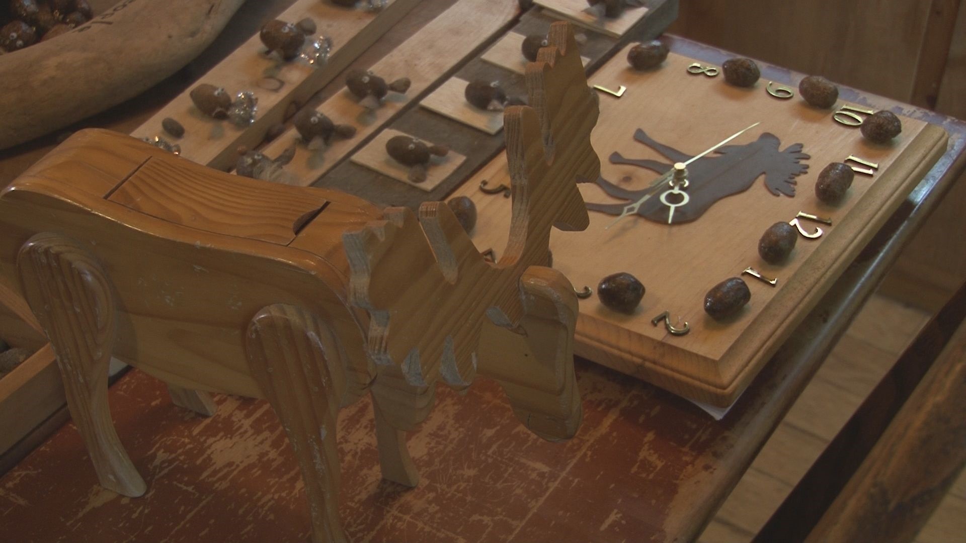 Working with moose poop is a 'Tirdy' business, but someone has to do it ...