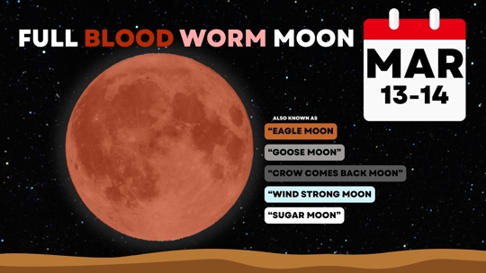 Tracking the total lunar eclipse | March 2025 full blood worm moon ...