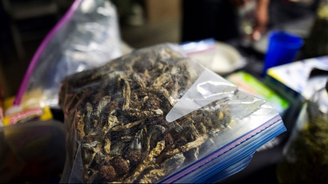 Shrooms, also called 'Magic Mushrooms', are decriminalized in Denver ...